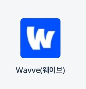 SK스퀘어-CJ ENM, 웨이브에 2500억 투자…CB상환에 2000억원 사용